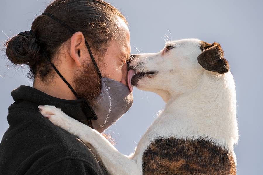 Happy Tails - Animal Anti-Cruelty League Cape Town