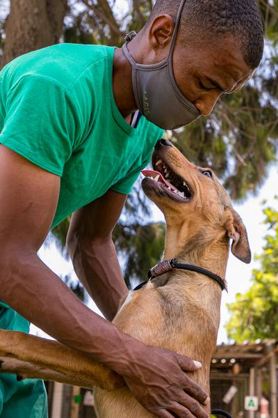 Happy Tails - Animal Anti-Cruelty League Cape Town