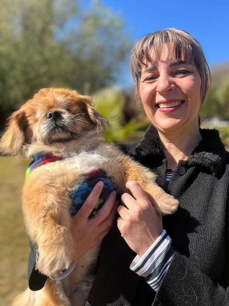 Happy Tails - Rolo, my real-life teddy bear