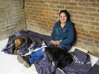 Happy Tails - ROAR for PAWS