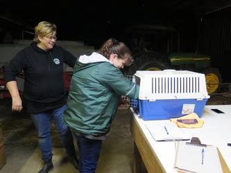 Happy Tails - ROAR for PAWS