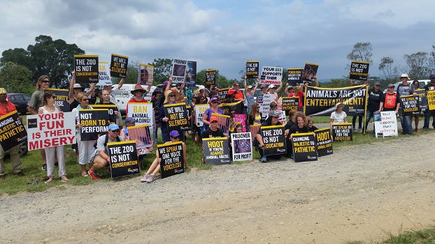 Happy Tails - Ban animal trading