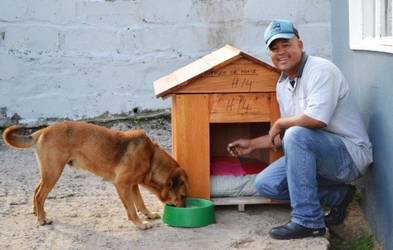 Happy Tails - Knysna Animal Welfare Society (KAWS) Projects – Improving ...
